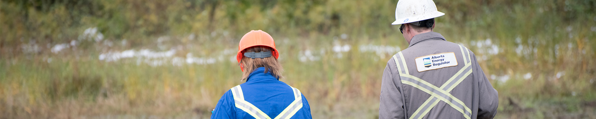 Data and Performance Reports | Alberta Energy Regulator
