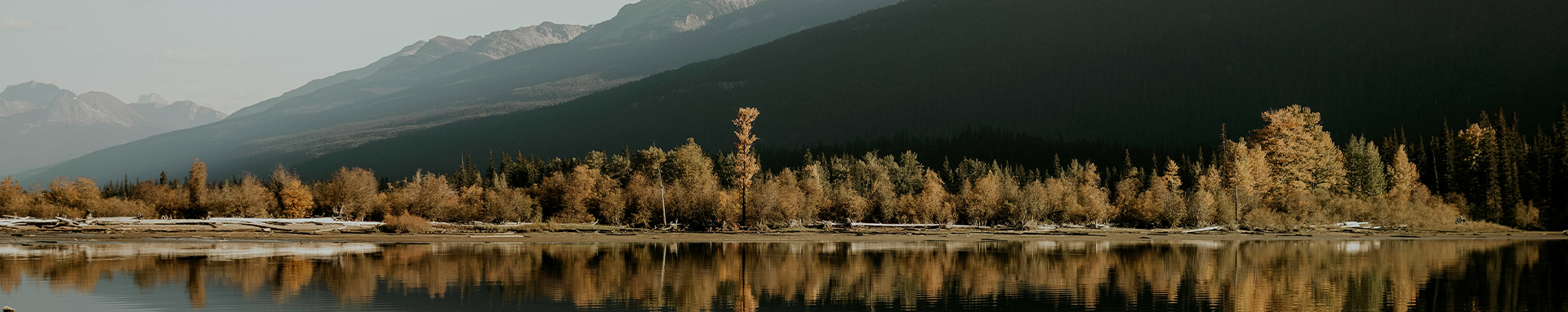Environmental Protection | Alberta Energy Regulator