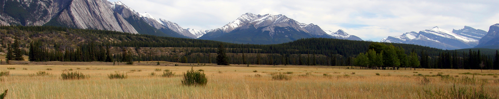 Environmental Protection and Enhancement Act | Alberta Energy Regulator