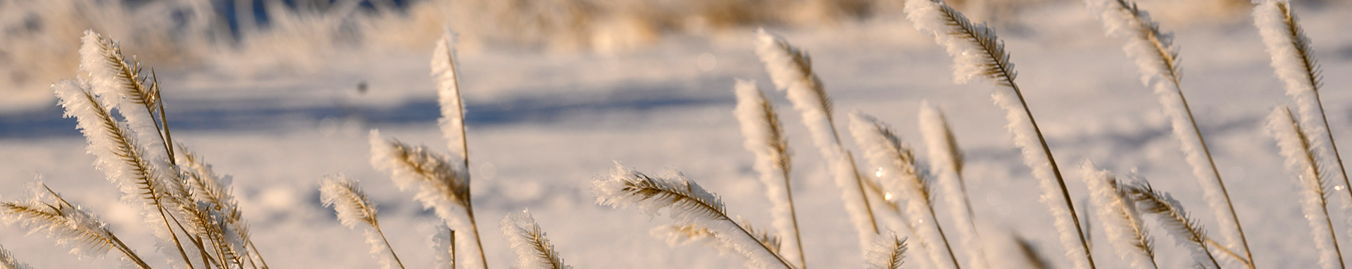 What is the AER - EnerFAQ | Alberta Energy Regulator