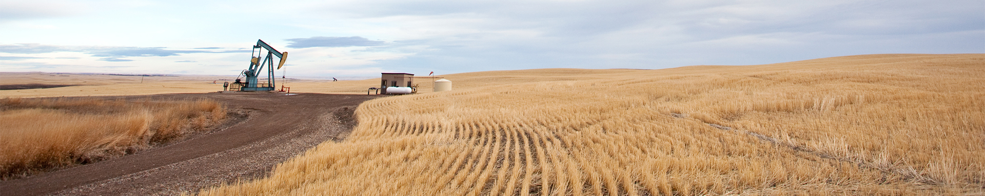 Understanding Resource Development | Alberta Energy Regulator